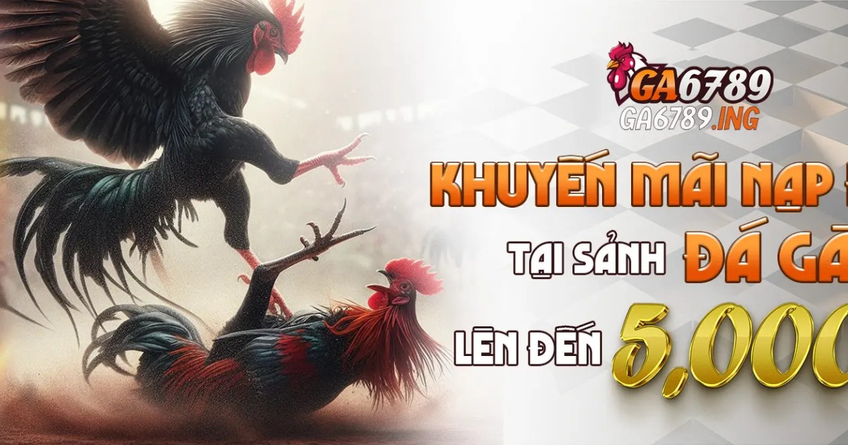 ga6789ing | POTOFU | POTOFU